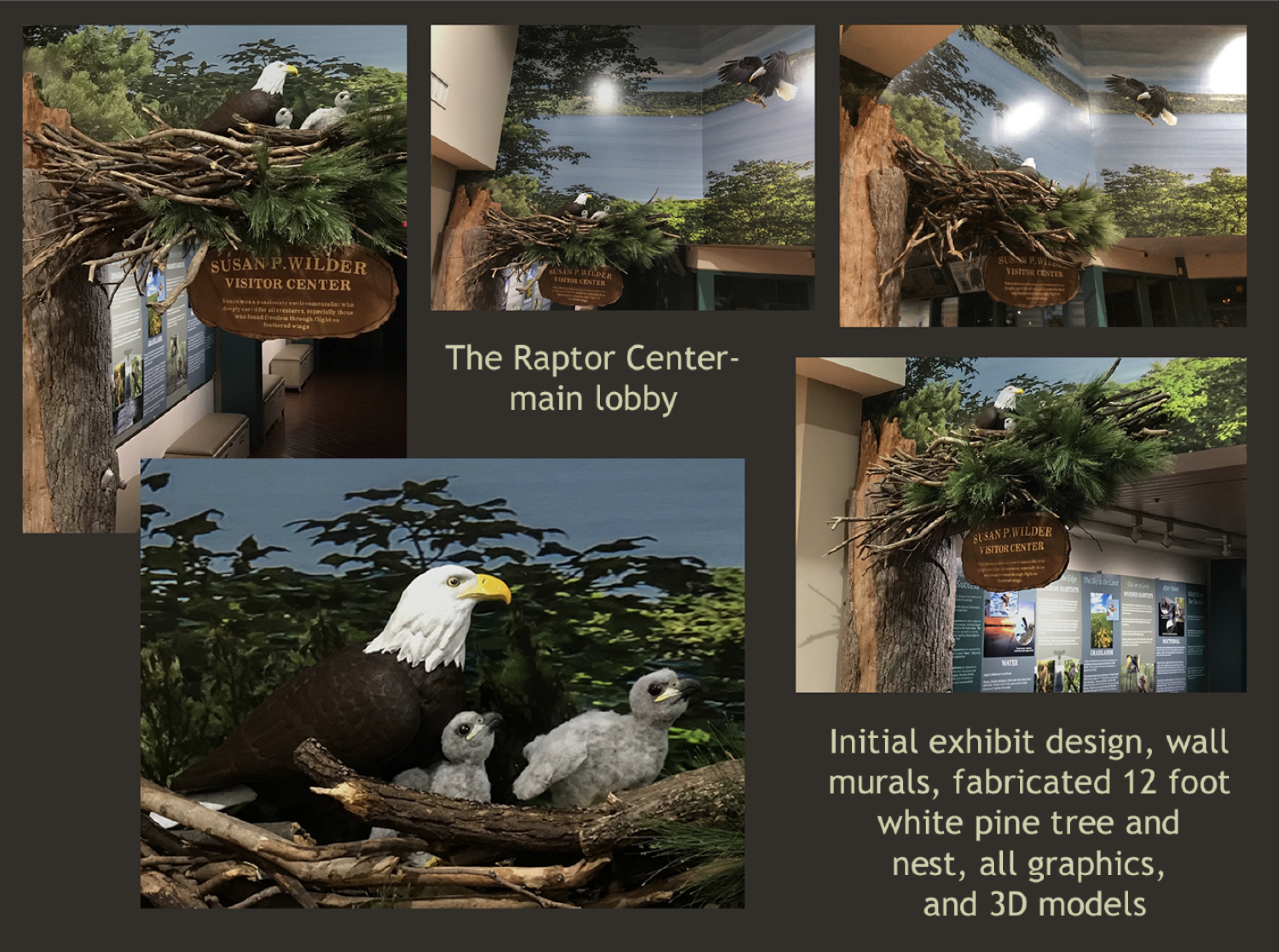 Eagle and eaglets - carlyniverson.com